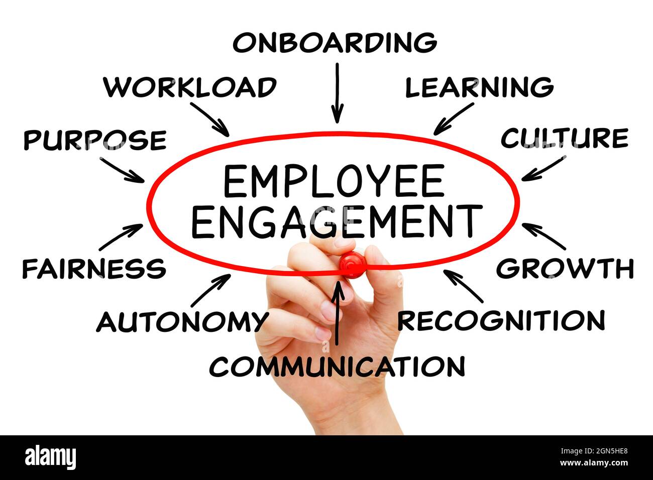 Hand drawing Employee Engagement diagram business concept with marker ...