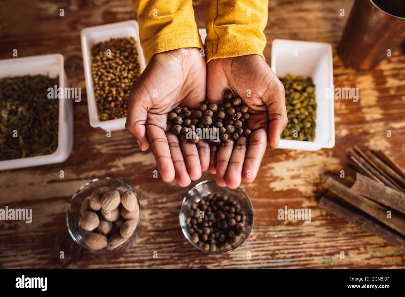 Close up view of hands holding juniper berries at gin distillery Stock ...