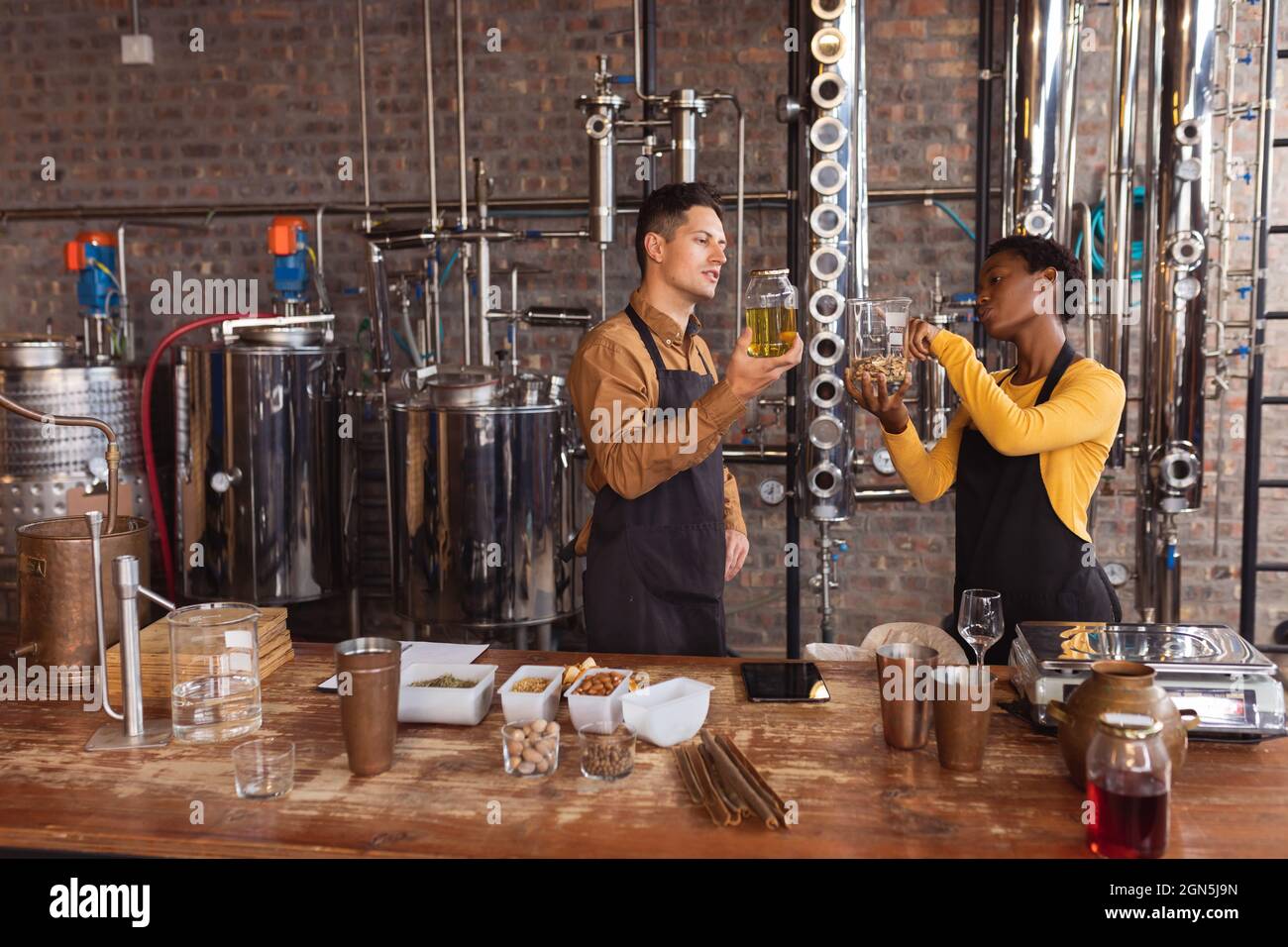 Diverse man woman holding a jar of ingredients for gin production at ...