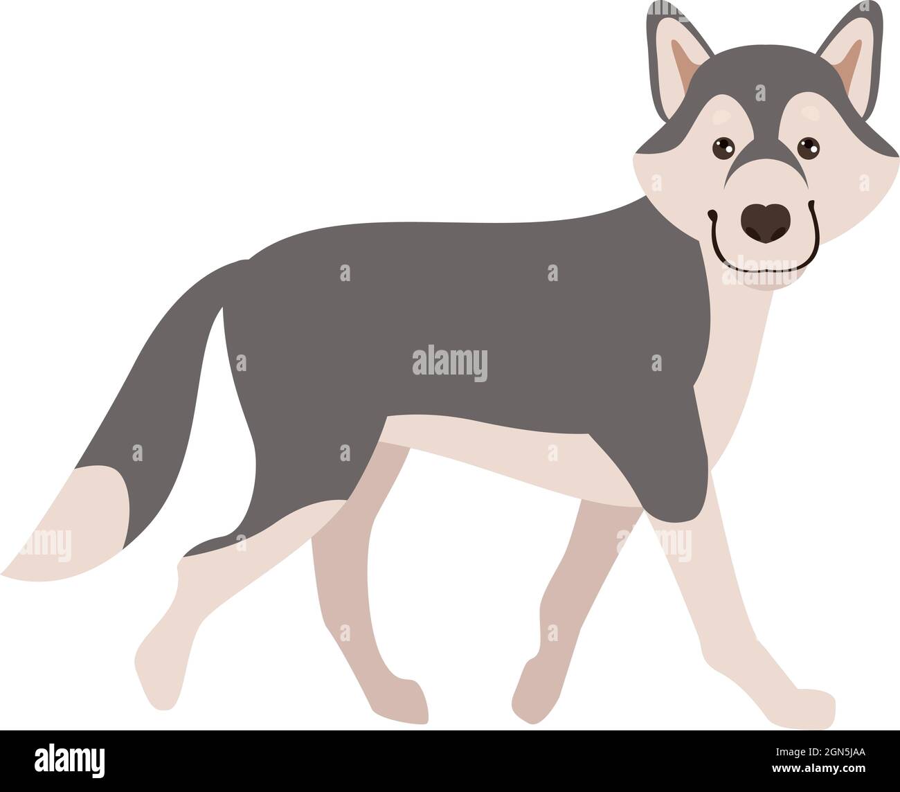 siberian husky pet character Stock Vector Image & Art - Alamy