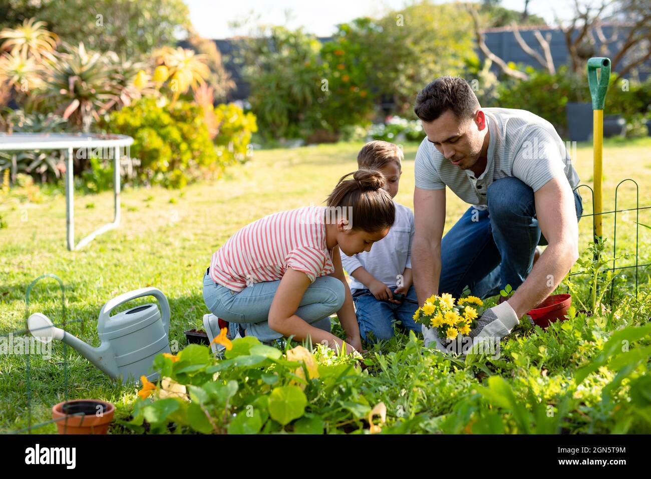 Happy caucasian father, daughter and son gardening together Stock Photo ...