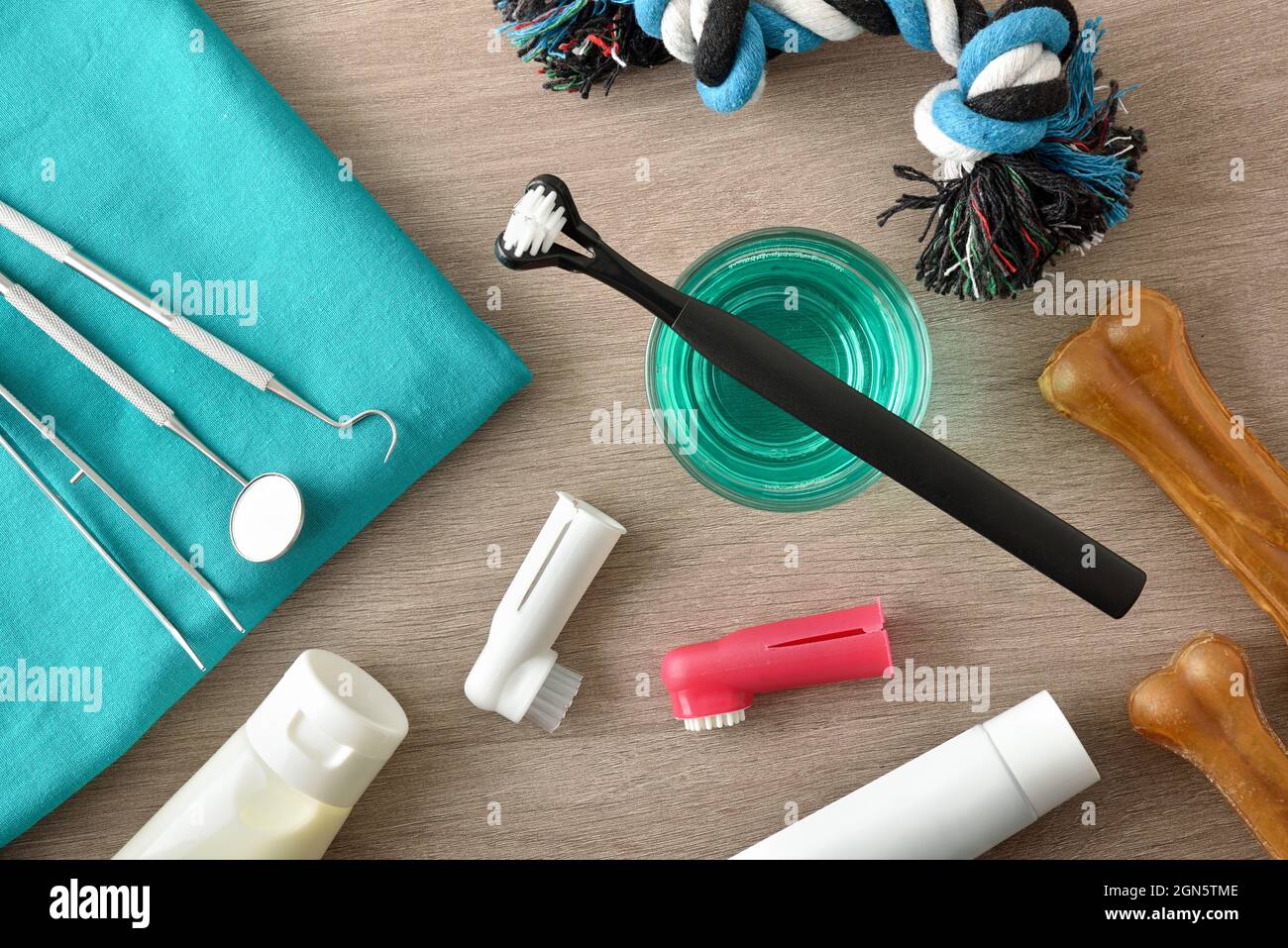 Professional veterinary products and accessories for cleaning canine ...