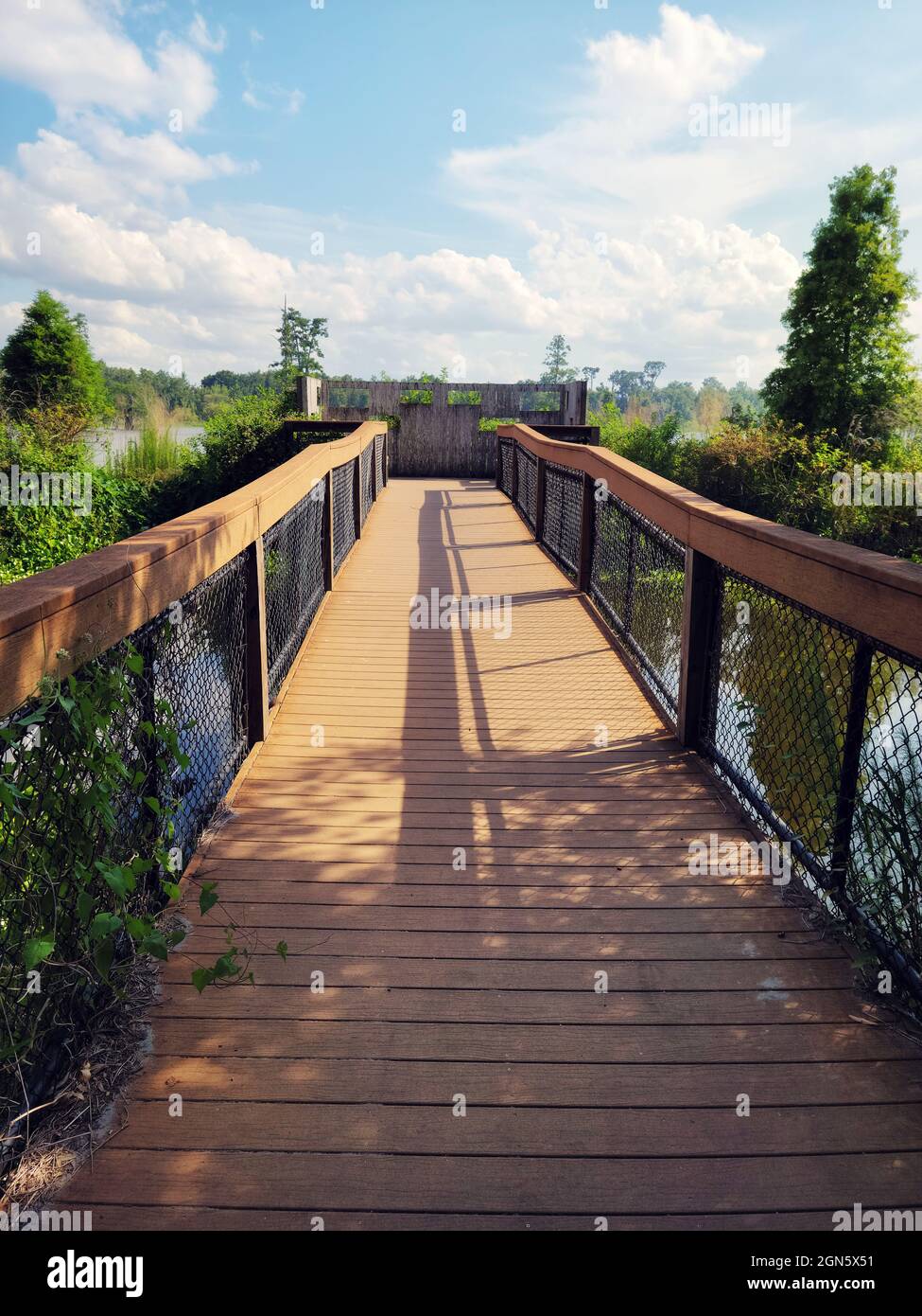Wooden Observation deck in Florida wetland Stock Photo - Alamy