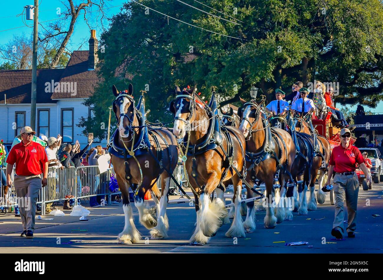 A team of horses pulls a wagon during the Joe Cain Day Mardi Gras ...