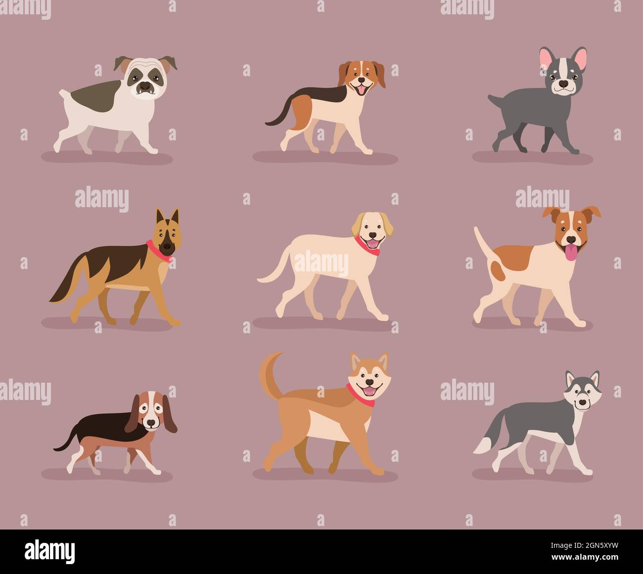 nine dogs mascots Stock Vector Image & Art - Alamy