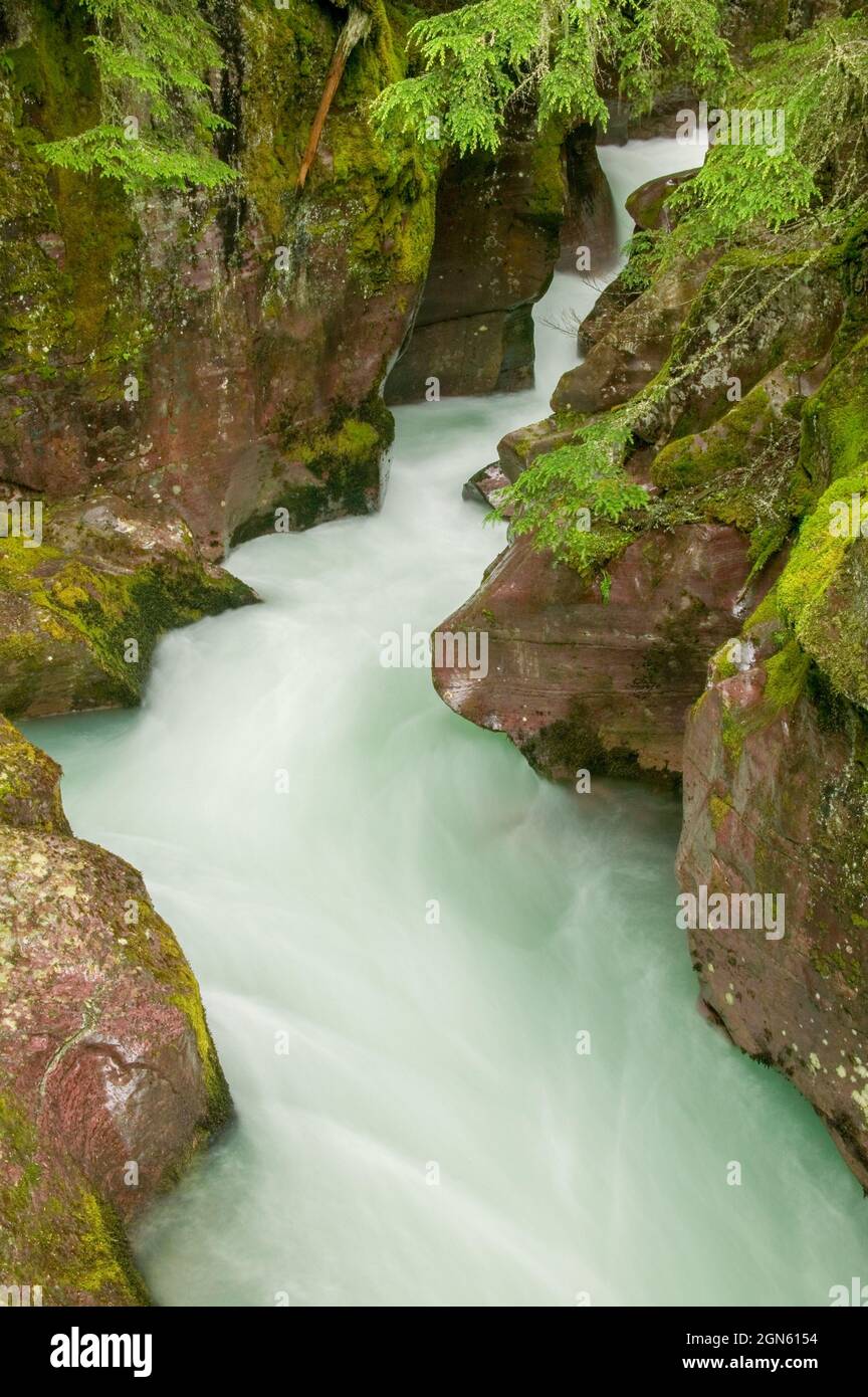 Avalanche Creek in Glacier National Park, Montana, USA. Ice-age glacial ...