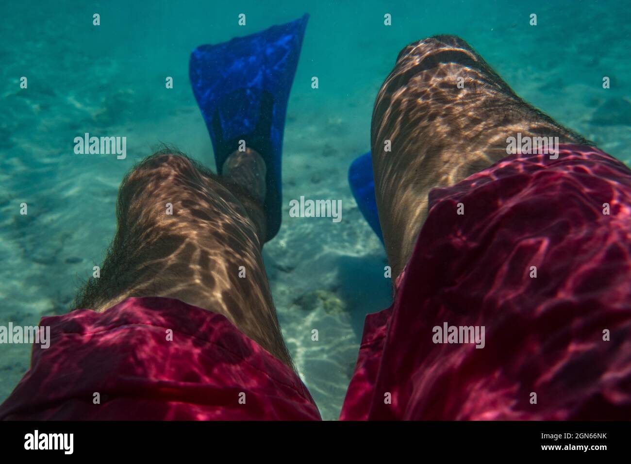 Man wearing flippers swimming on the ocean Stock Photo - Alamy