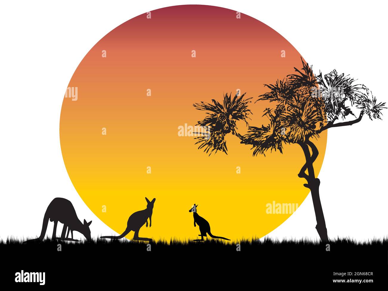 Pandanus tree at sunrise Stock Vector Images - Alamy