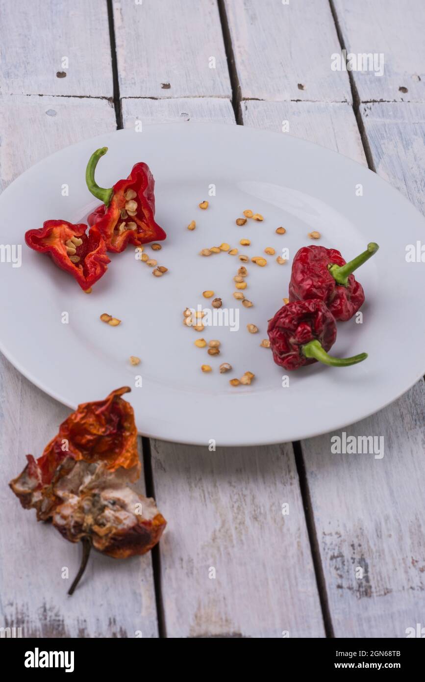 Save chilli seeds hi-res stock photography and images - Alamy