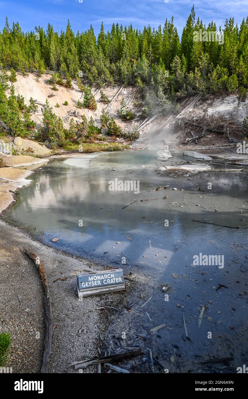Yellowstone NP, WY, USA - Aug 12, 2020: The Monarch Geyser Crater Stock ...