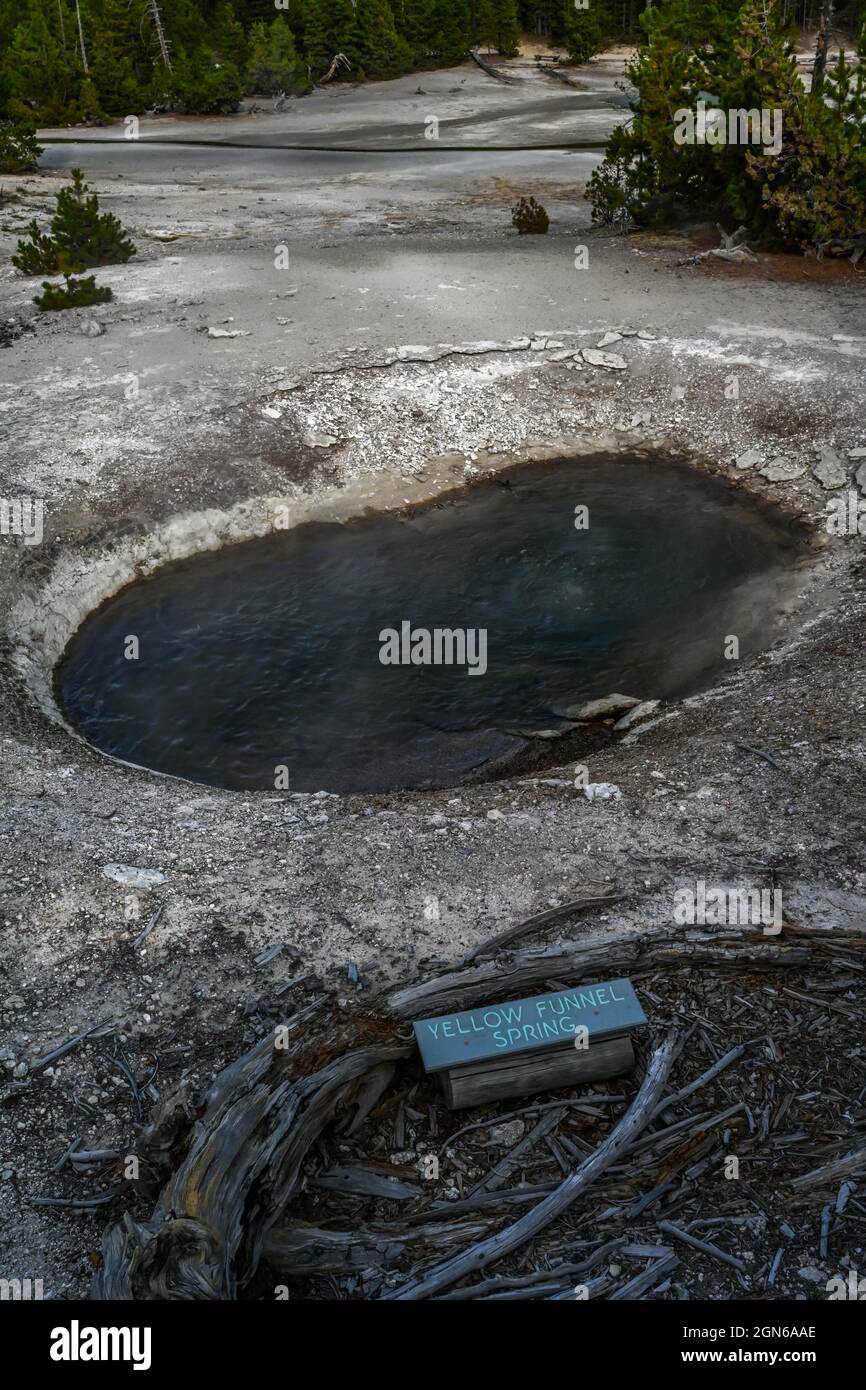 Yellow funnel spring hi-res stock photography and images - Alamy