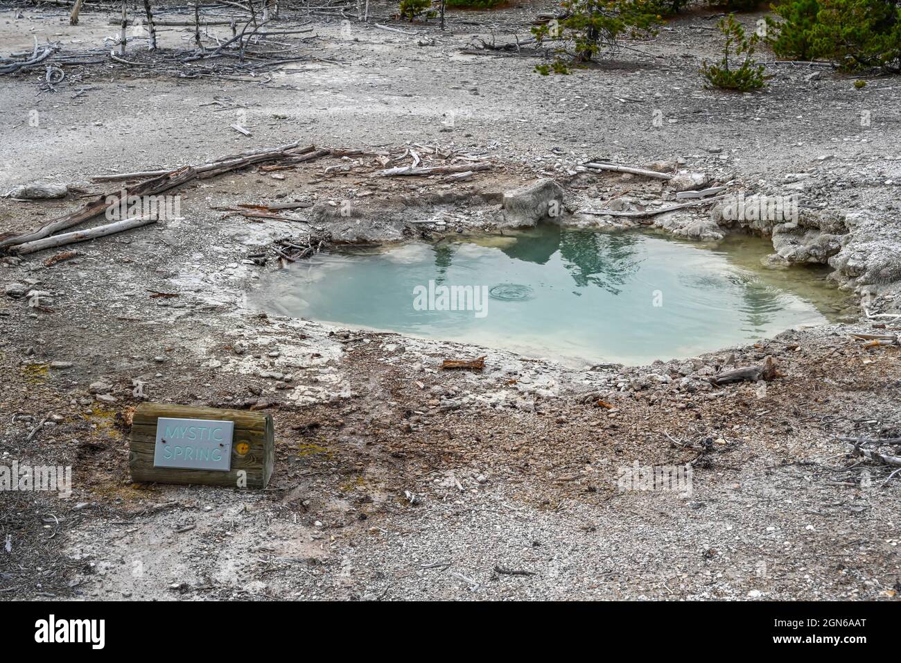 Mystic spring hi-res stock photography and images - Alamy