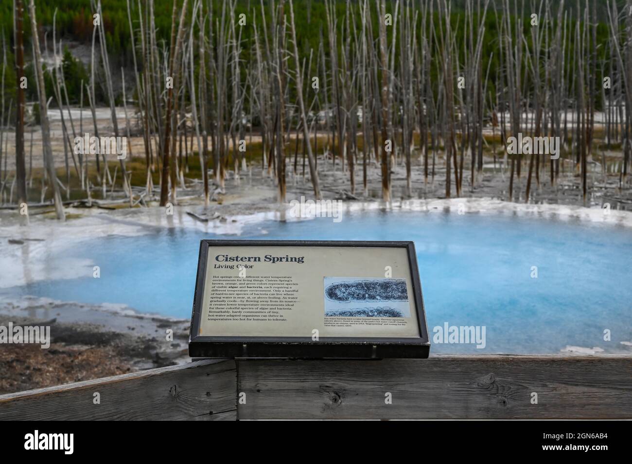 Cistern spring yellowstone hi-res stock photography and images - Alamy
