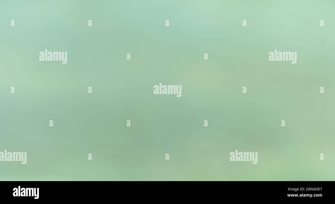 Light Forest Green color Abstracts and backgrounds. Full Frame Stock ...