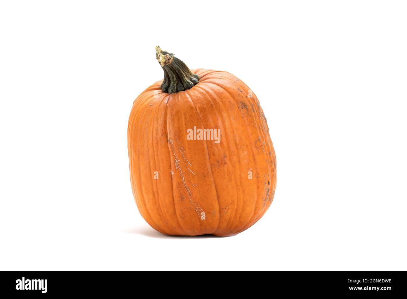 Orange cute pumpkin set Cut Out Stock Images & Pictures - Alamy