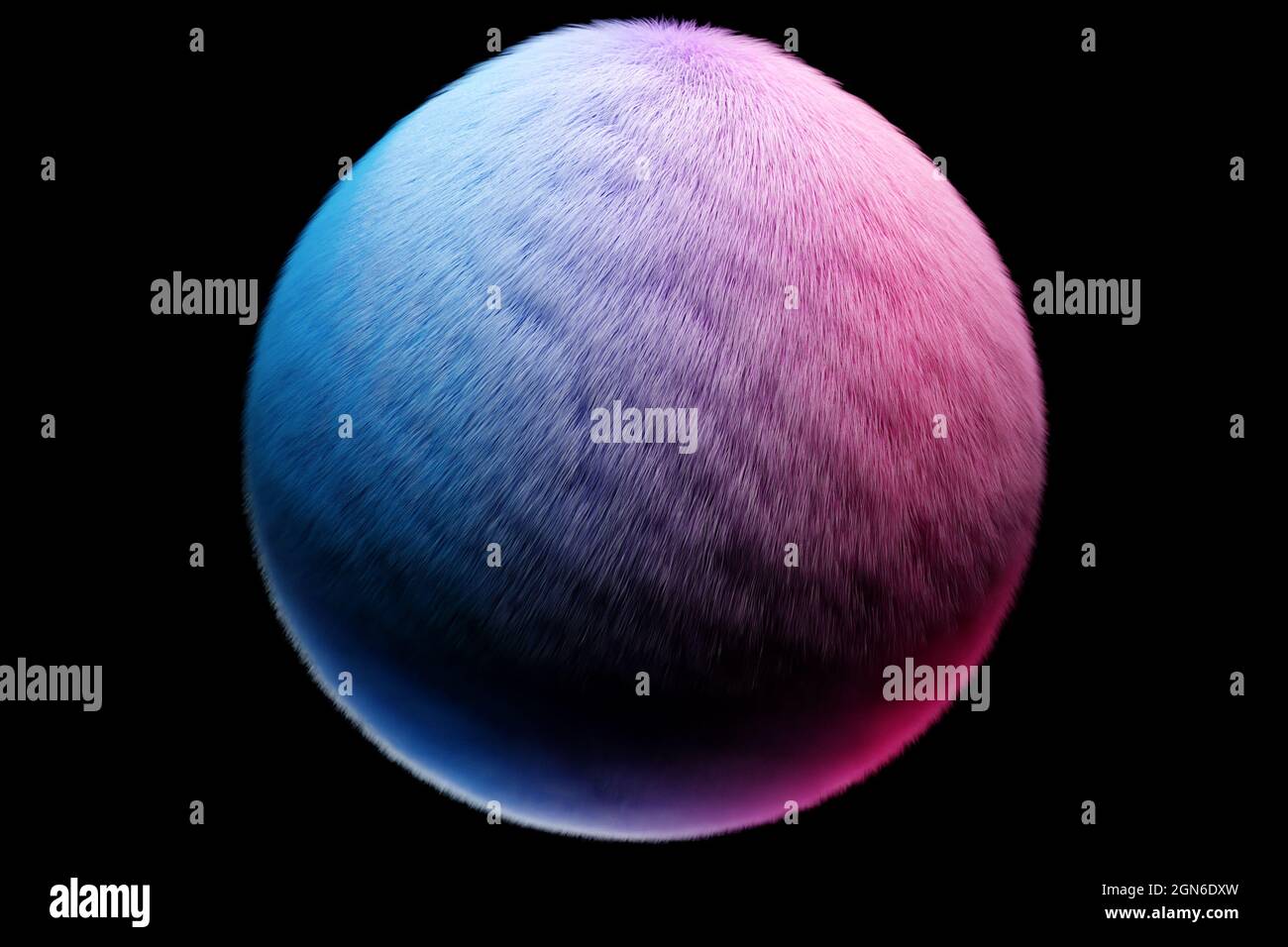 3d illustration blue pink fluffy ball on black isolated background. fur pompon Stock Photo - Alamy