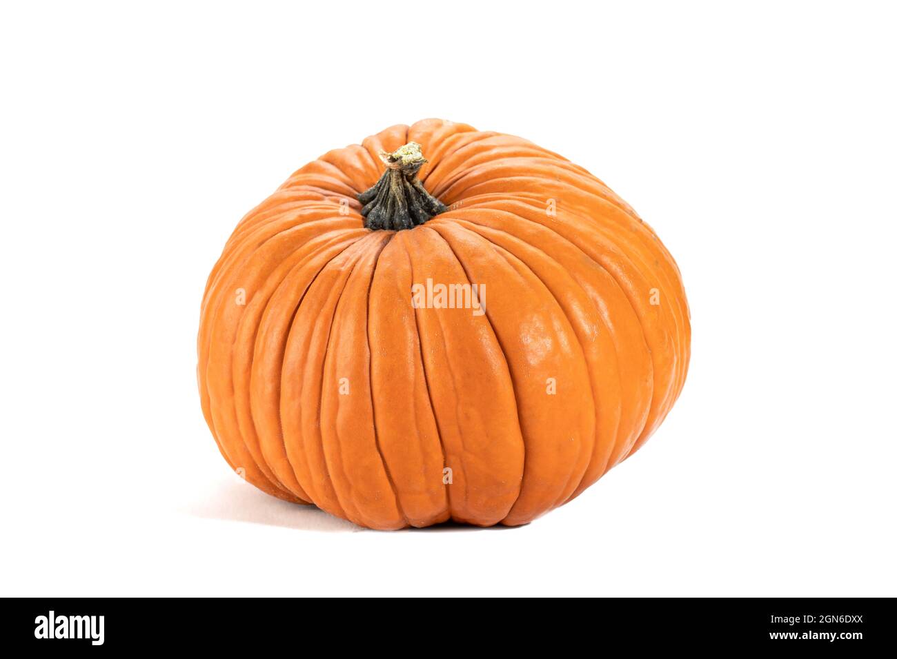 One orange color pumpkin with stem isolated over white background Stock ...