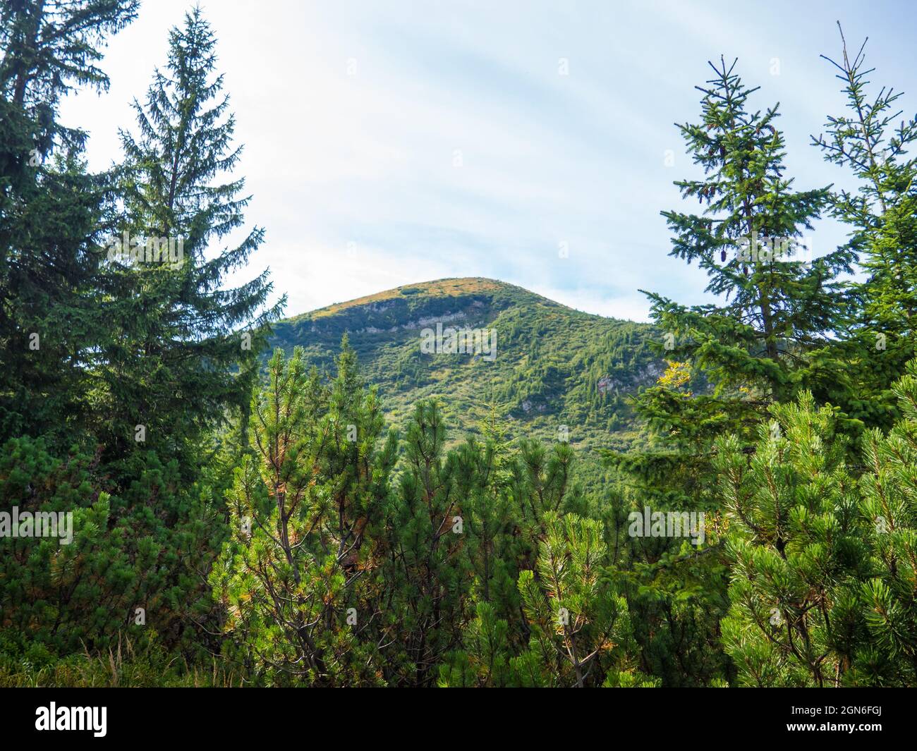 Hoverla slope hi-res stock photography and images - Alamy