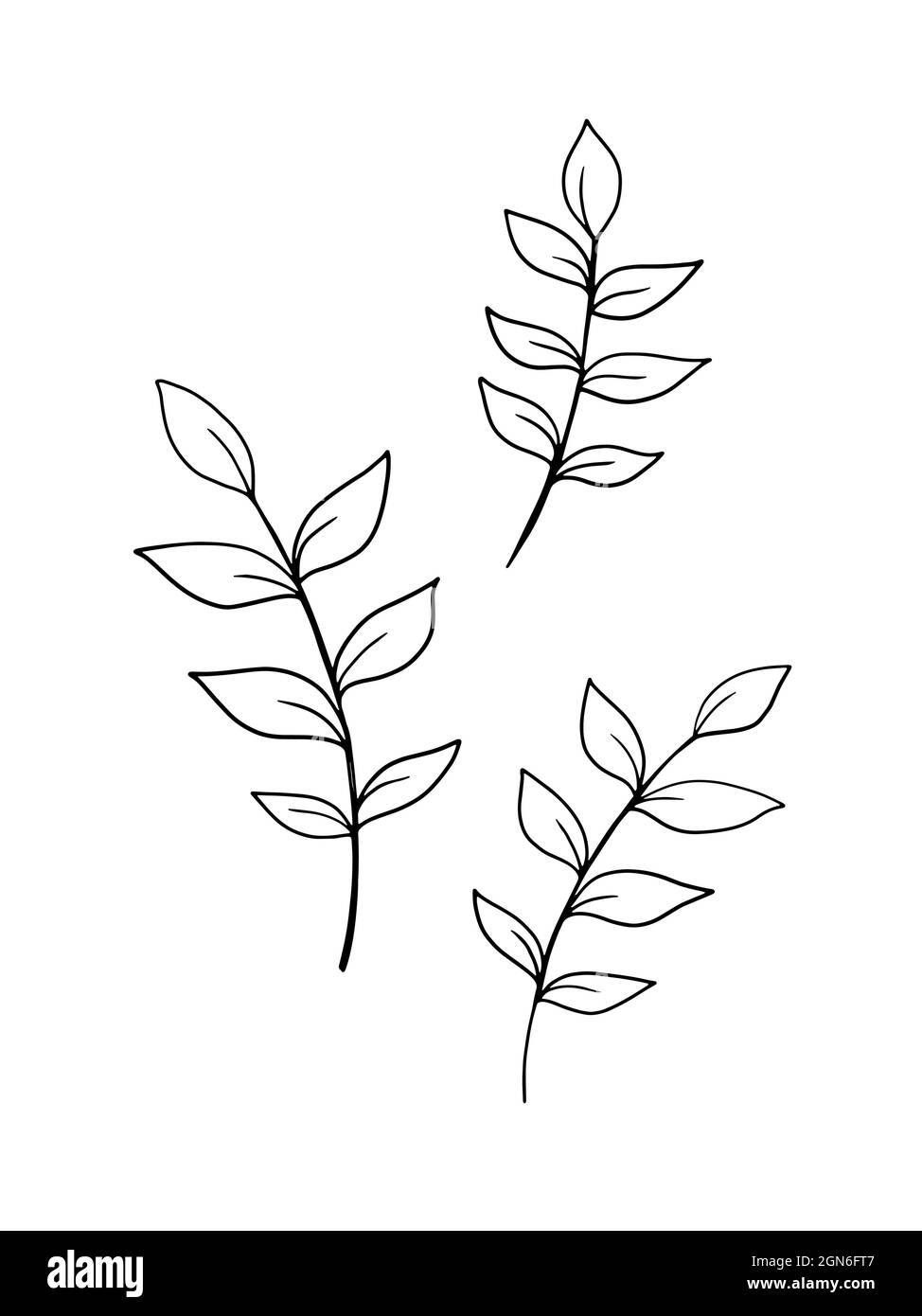 Leaf line art drawing on white background Stock Vector Image & Art - Alamy