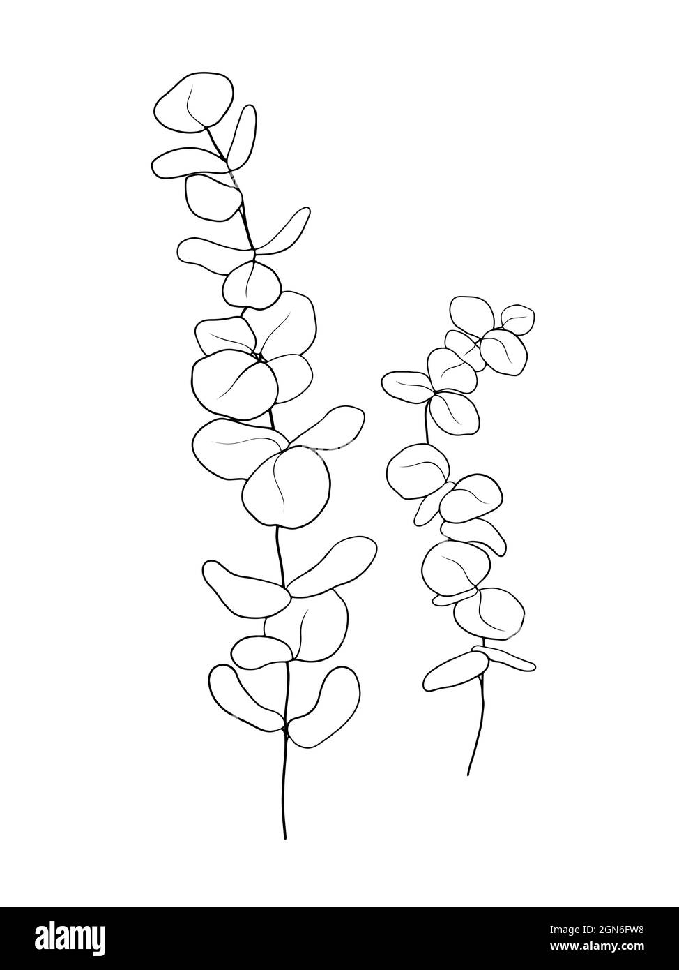 Floral drawing line art on white color background Stock Vector Image ...