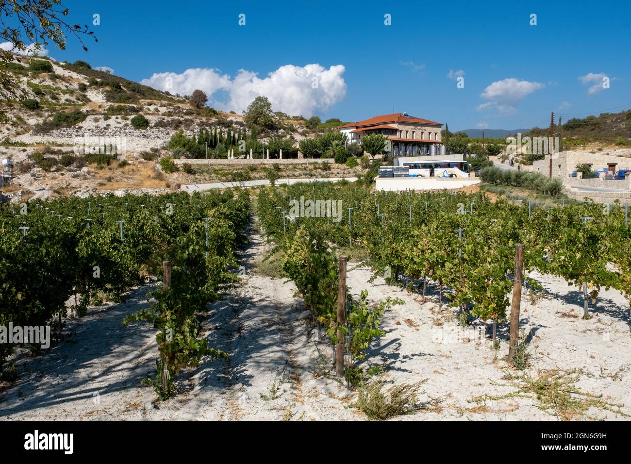 General view of the Ktima Gerolemo winery near Omodos village, Cyprus ...