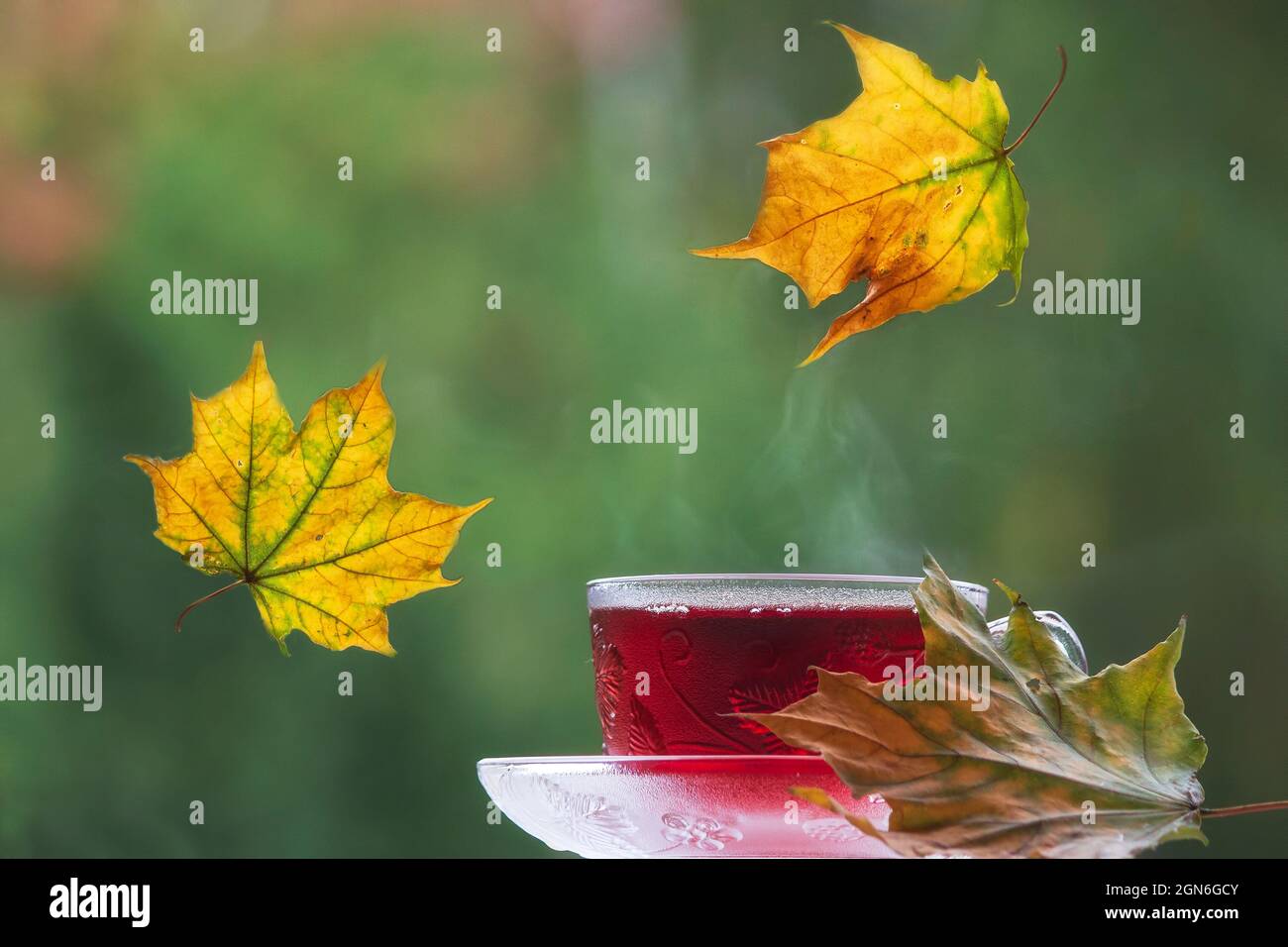 Autumn leaves in a cup of hot tea Stock Photo - Alamy