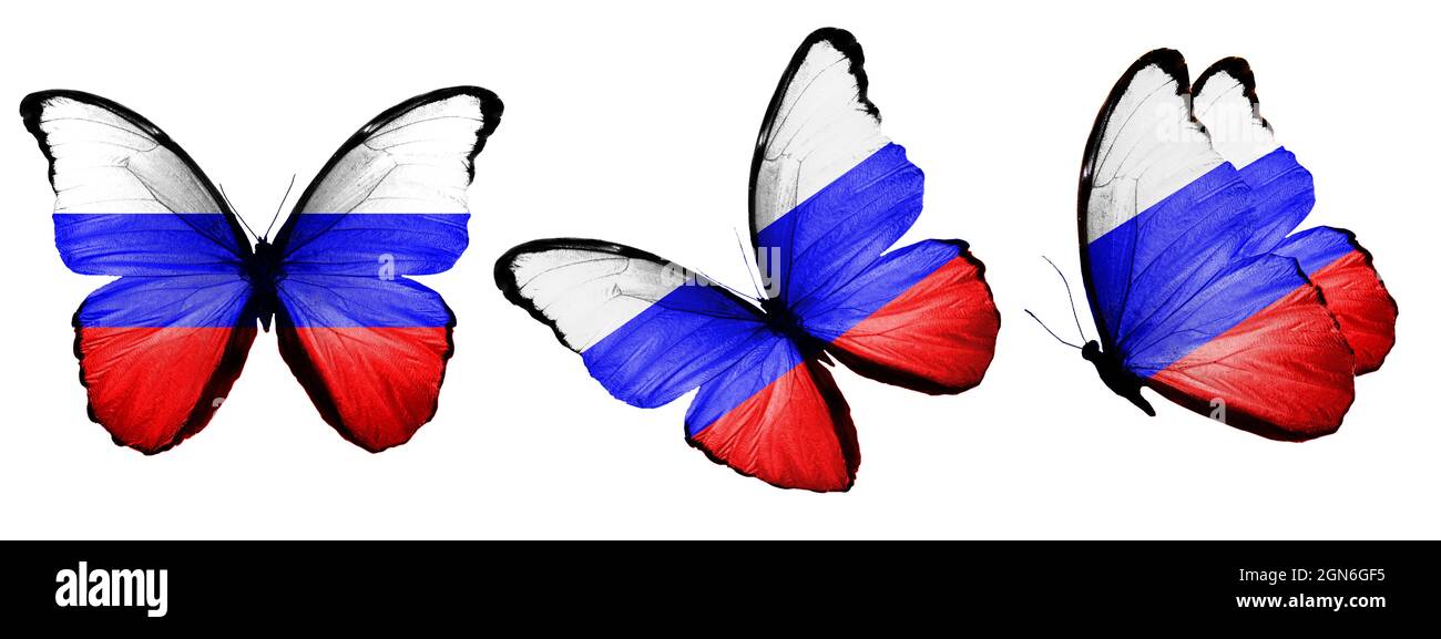 a set of butterflies with the flag of Russia on the wings in isolation ...