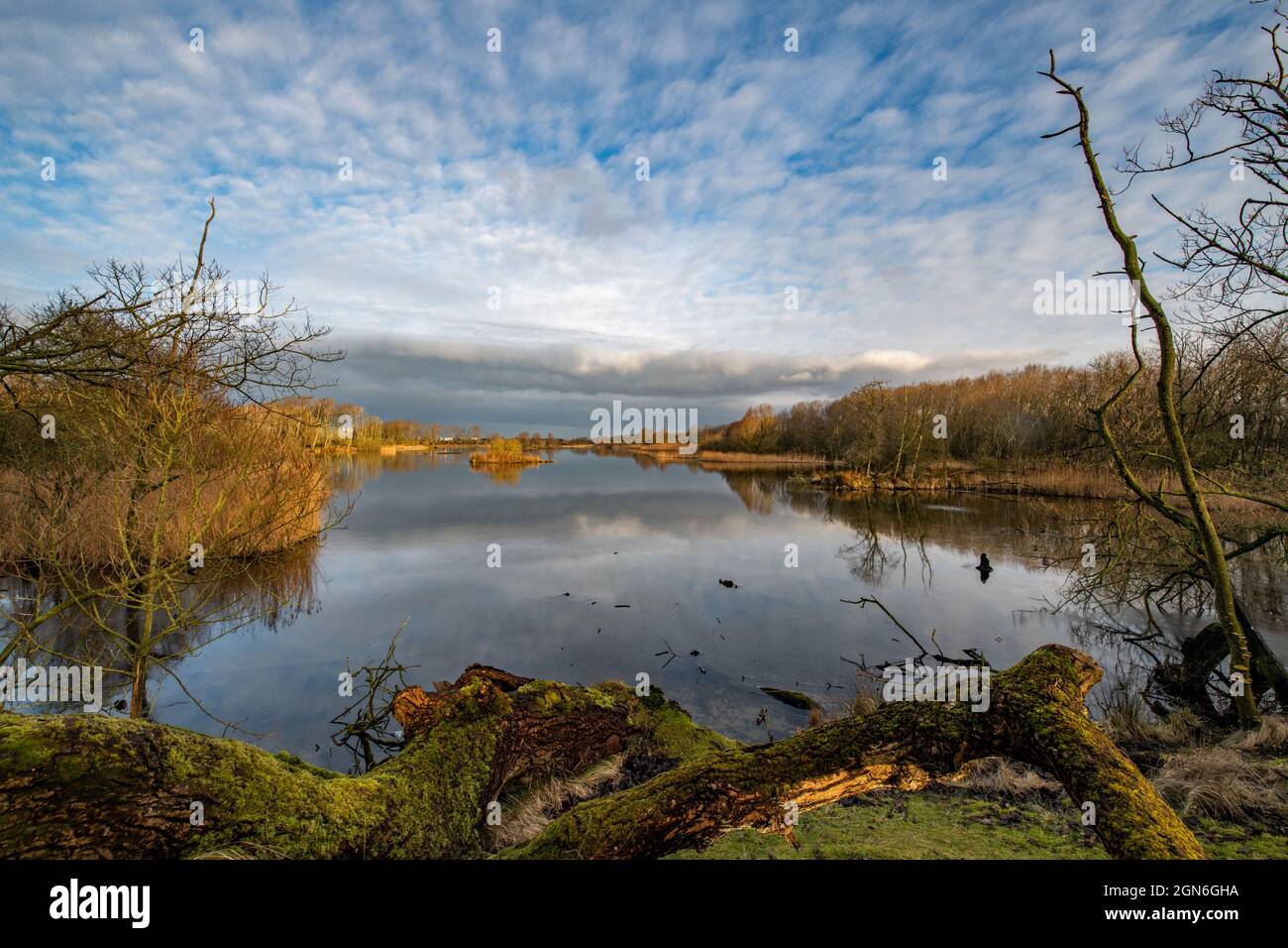 Tap water lake Amsterdamse waterleidingduinen Zandvoort Stock Photo - Alamy