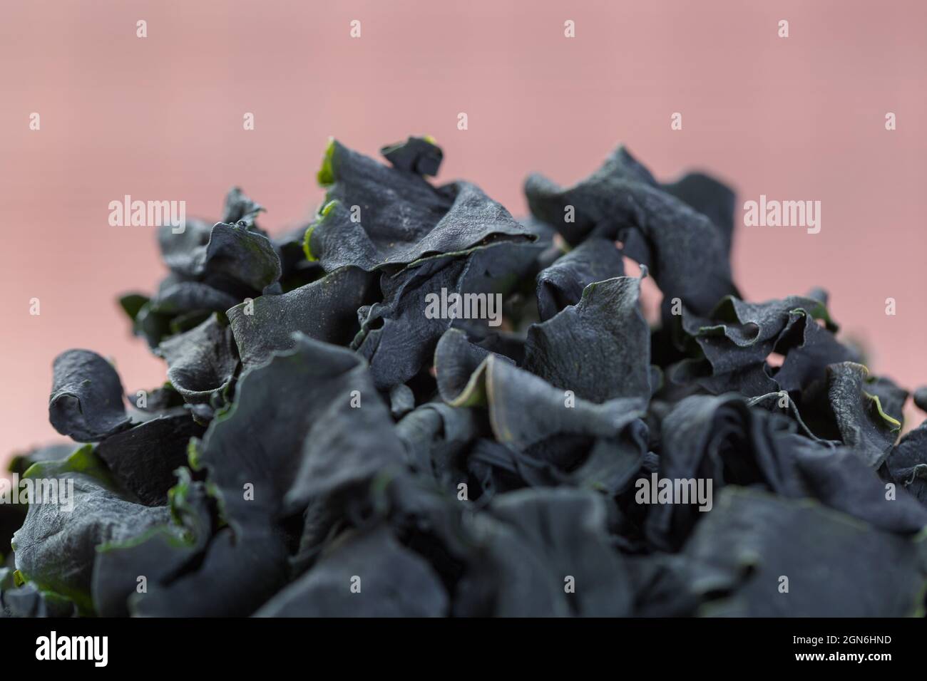 Dehydrated Sea mustard on white background，Undaria pinnatifida Suringar ...
