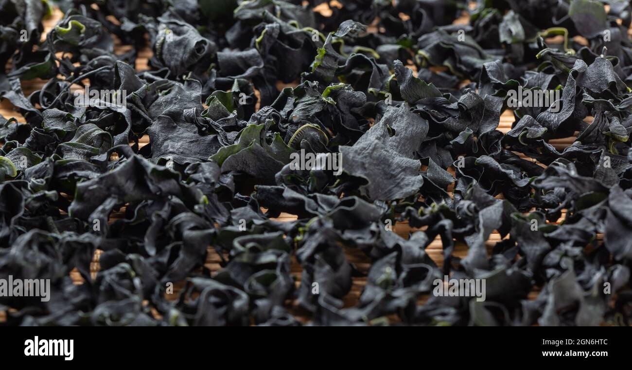 Dehydrated Sea mustard on white background，Undaria pinnatifida Suringar ...