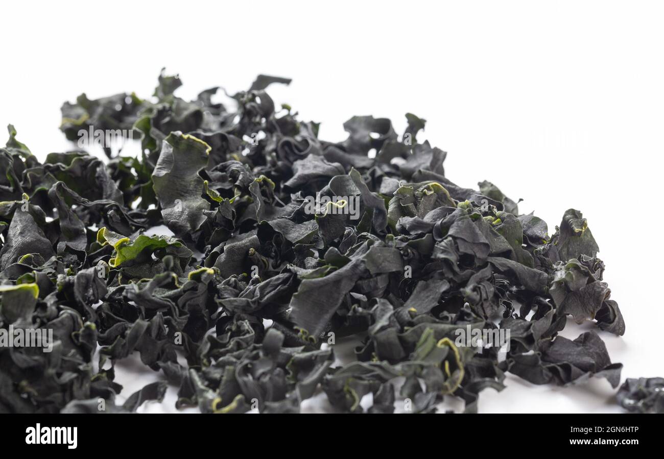 Dehydrated Sea mustard on white background，Undaria pinnatifida Suringar ...