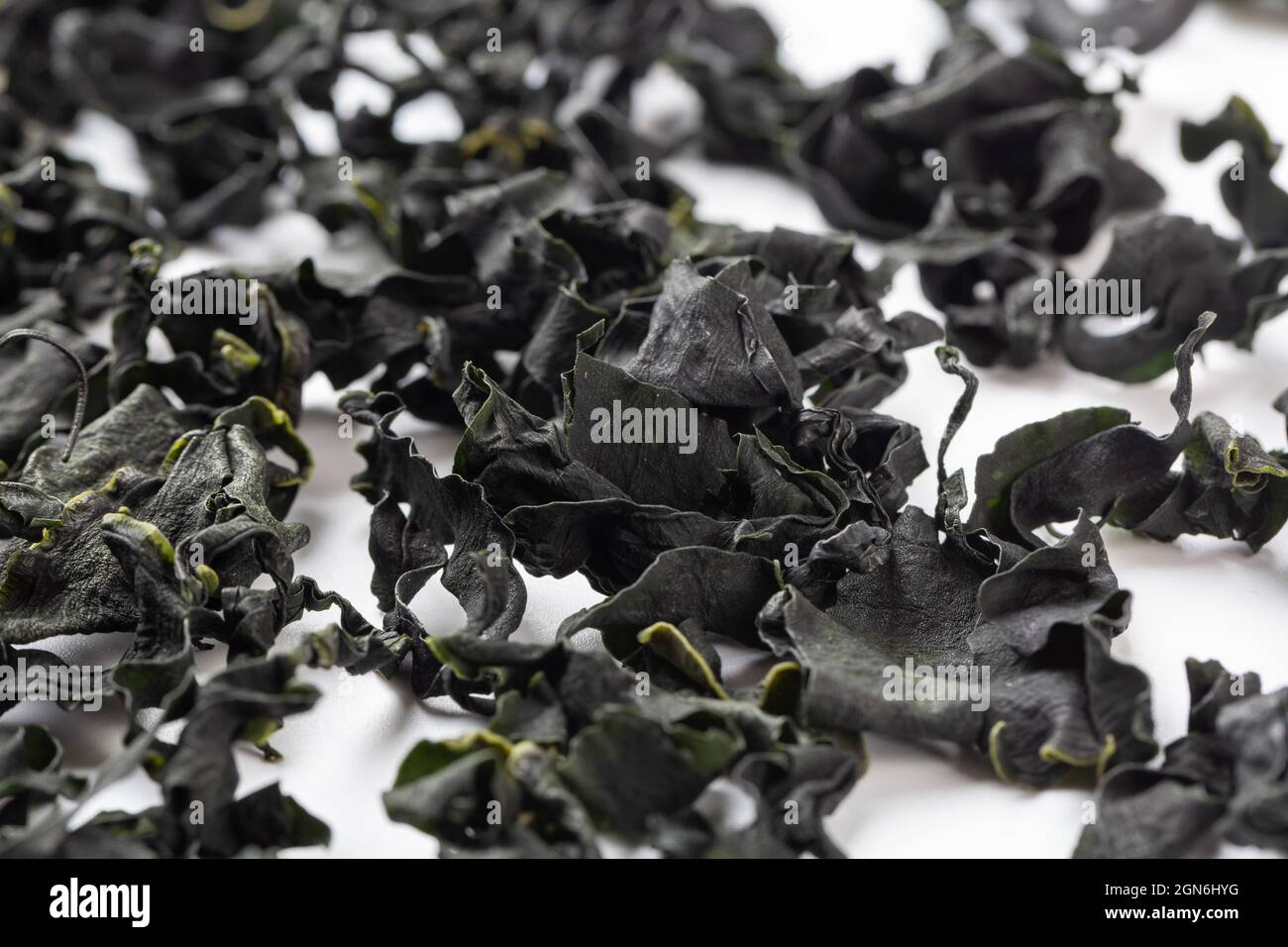 Dehydrated Sea mustard on white background，Undaria pinnatifida Suringar ...