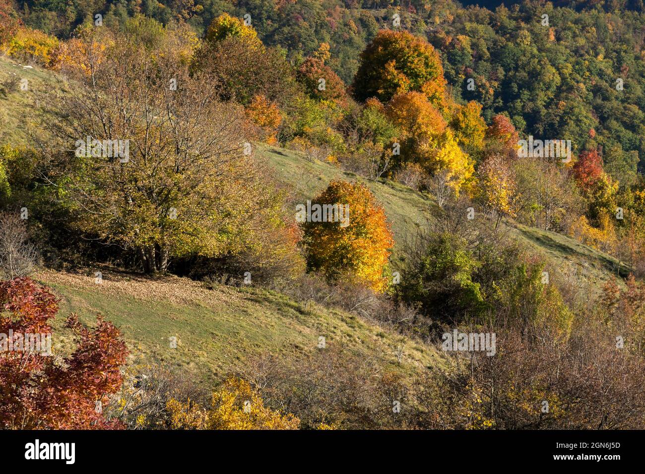autumn landscape on the mountains of Genoa in Liguria in Italy Stock ...