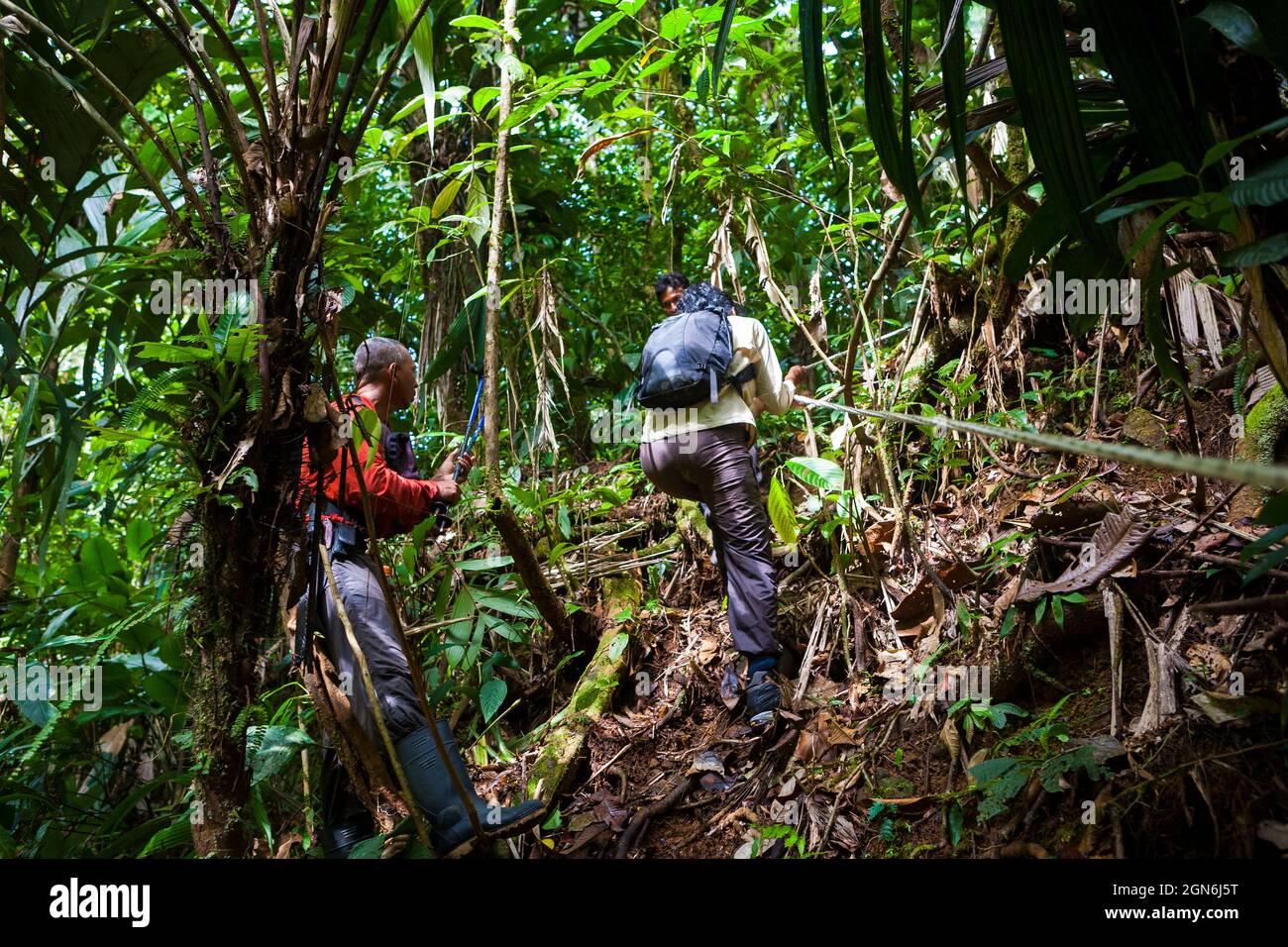 Trekkers are climbing up a steep section along the old and overgrown ...
