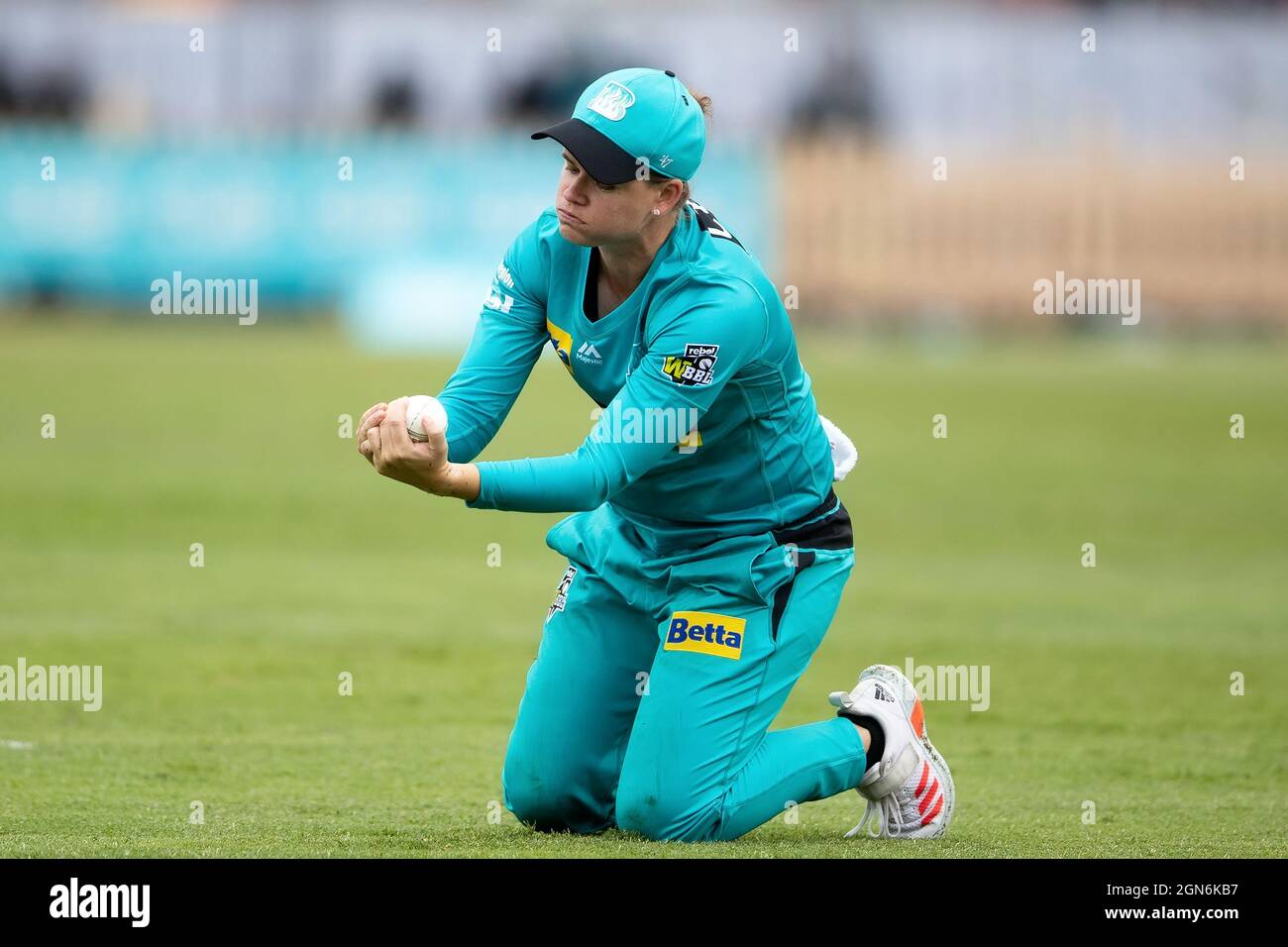 Perth scorchers cricket catch hi-res stock photography and images - Alamy