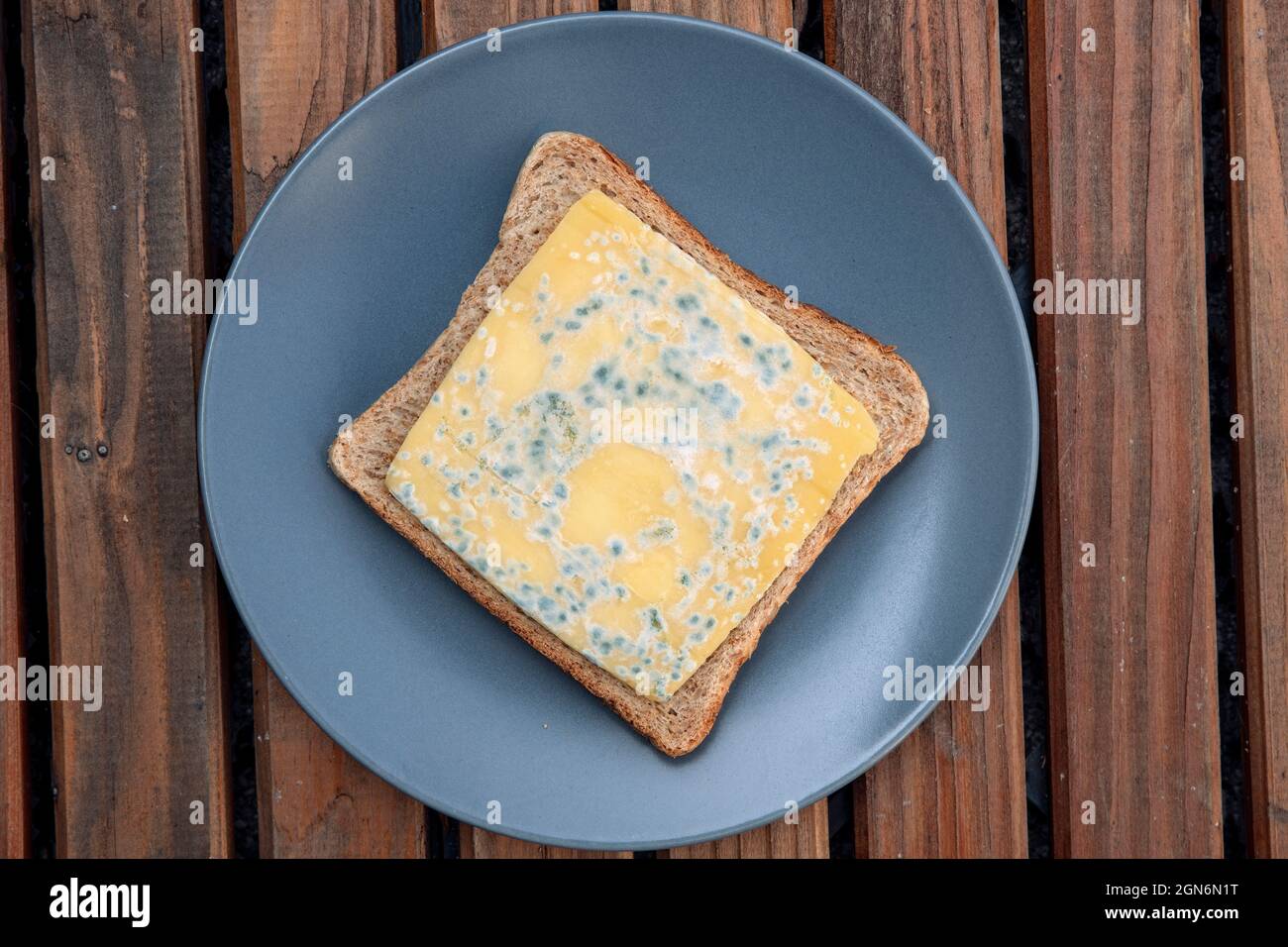A moldy toast on a plate Stock Photo - Alamy
