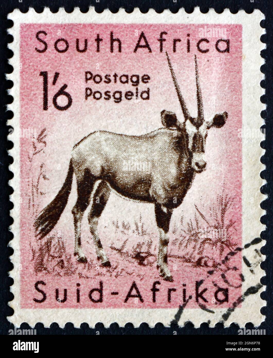 SOUTH AFRICA - CIRCA 1954: a stamp printed in South Africa shows ...