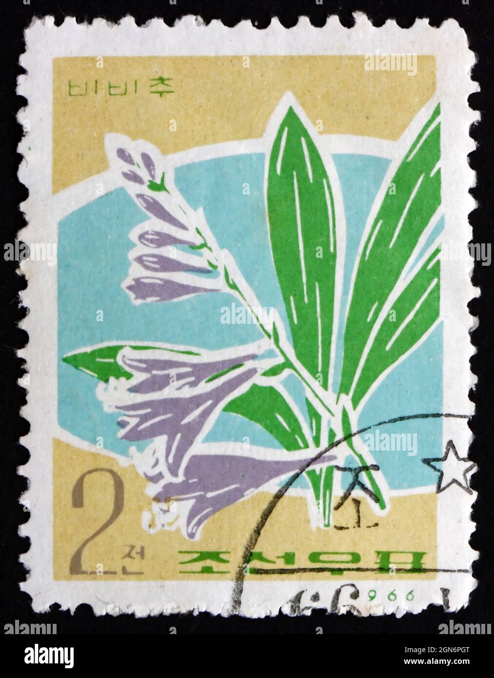 NORTH KOREA - CIRCA 1966: a stamp printed in North Korea shows Hosta ...