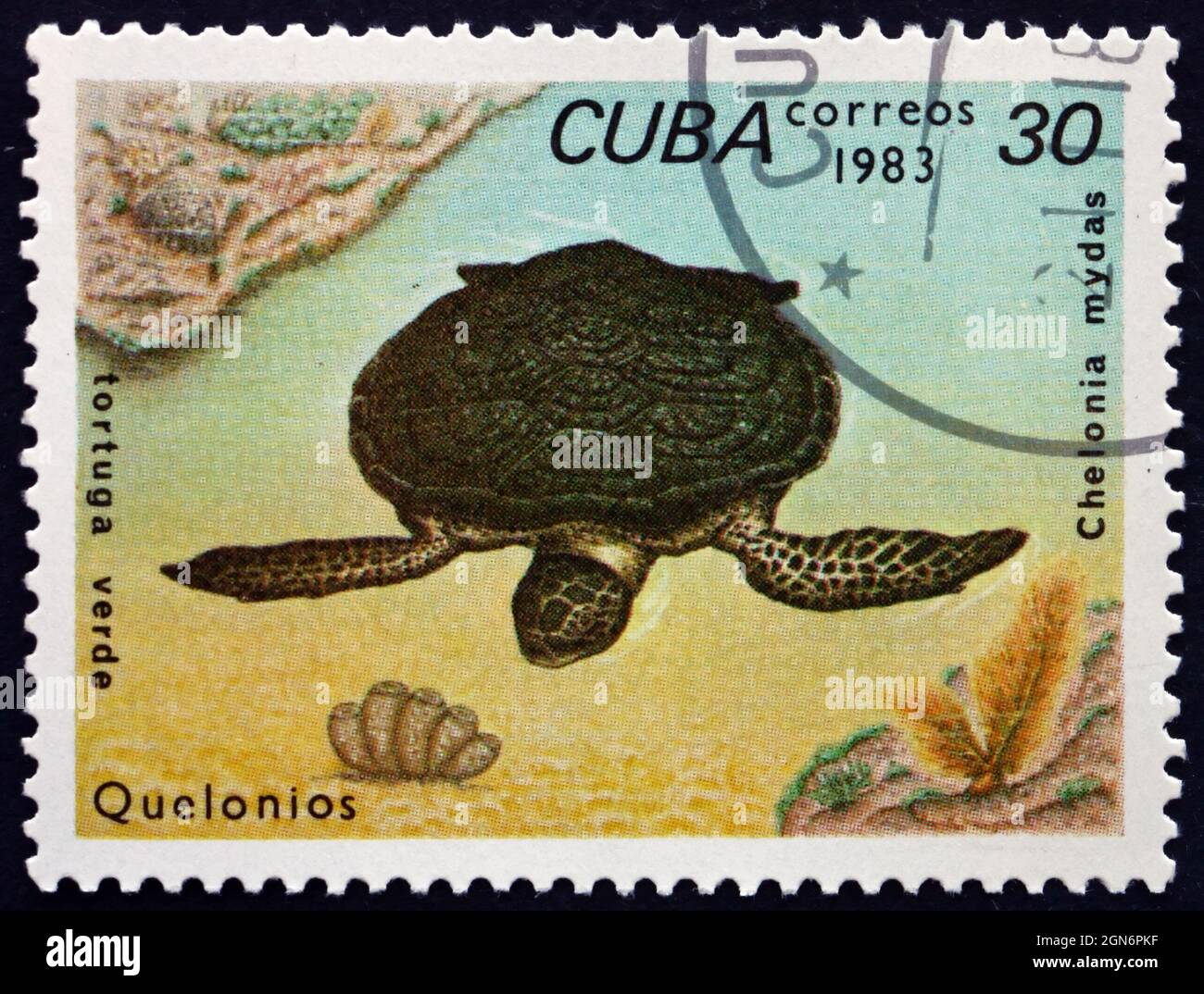 CUBA - CIRCA 1983: a stamp printed in the Cuba shows Green Sea Turtle ...