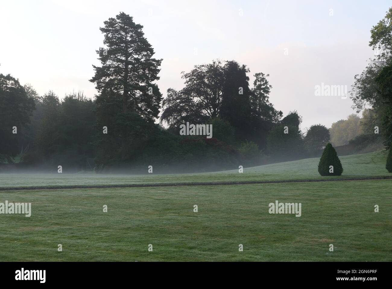 Soft morning mist rolling across green field with trees behind with ...