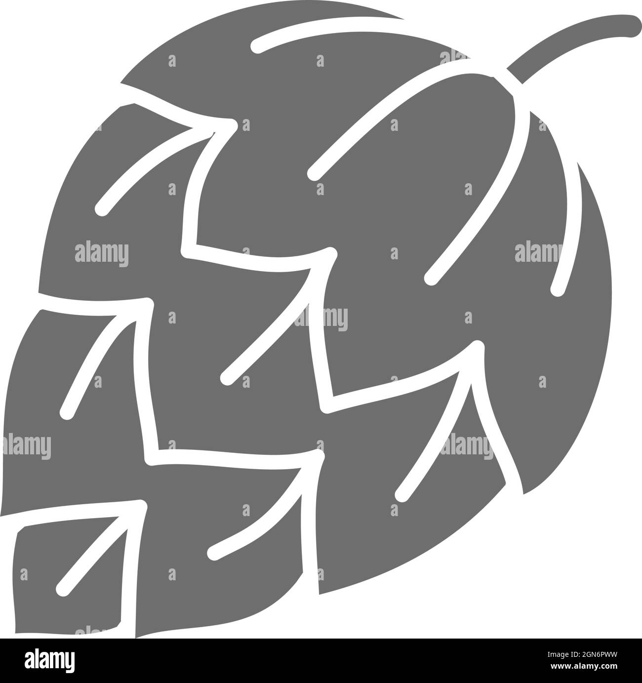 Hop cone grey icon. Isolated on white background Stock Vector Image ...