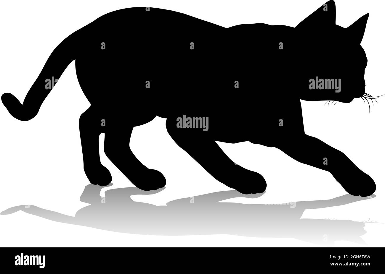 Pouncing cat hi-res stock photography and images - Alamy