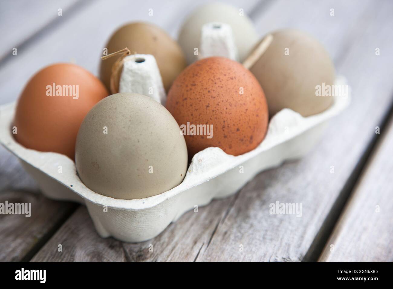 Free range eggs in box, UK Stock Photo - Alamy