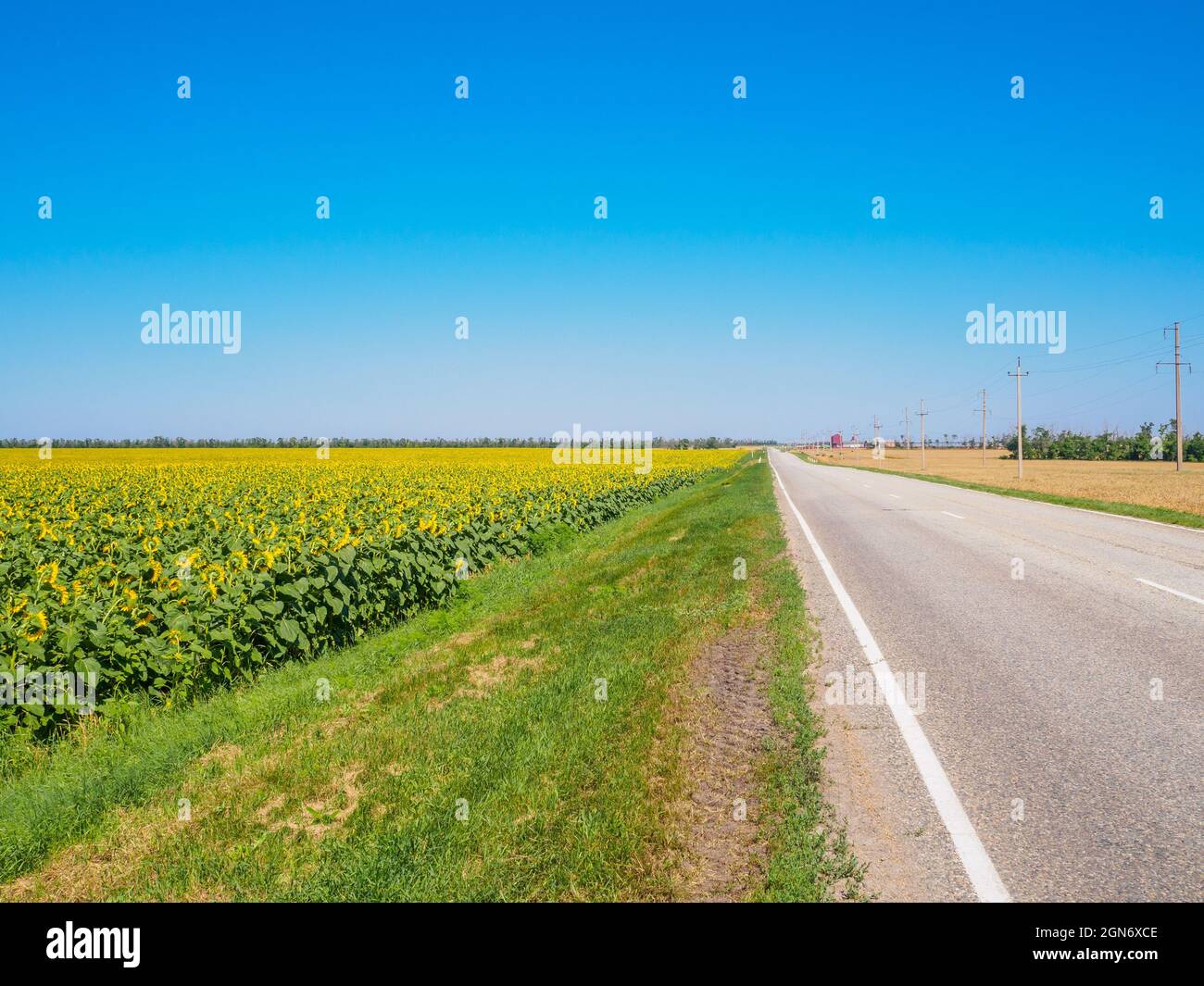 Straight road receding into distance hi-res stock photography and ...