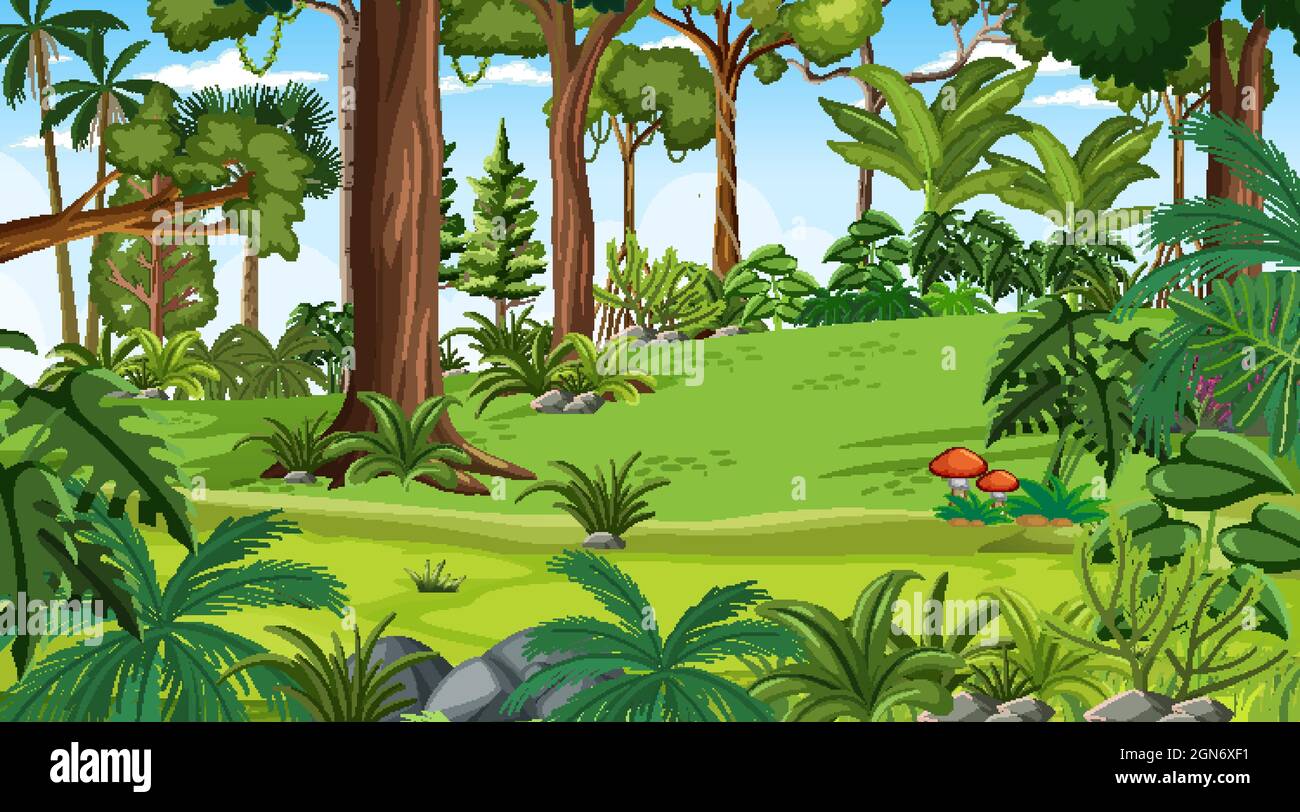 Forest landscape scene at day time with many different trees ...