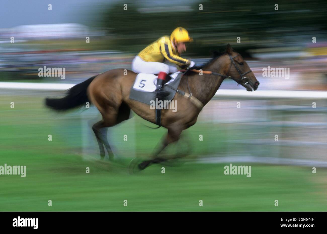 Action jockey hi-res stock photography and images - Alamy