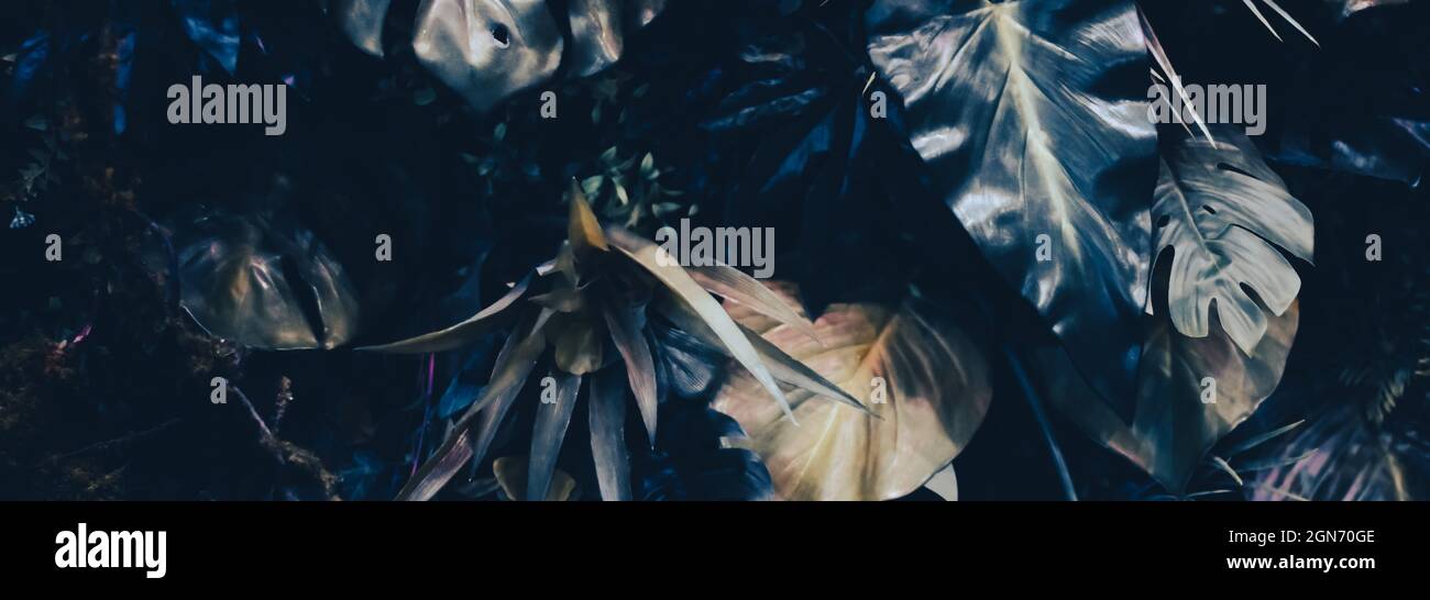 Tropical leaves as nature and environmental background, botanical ...