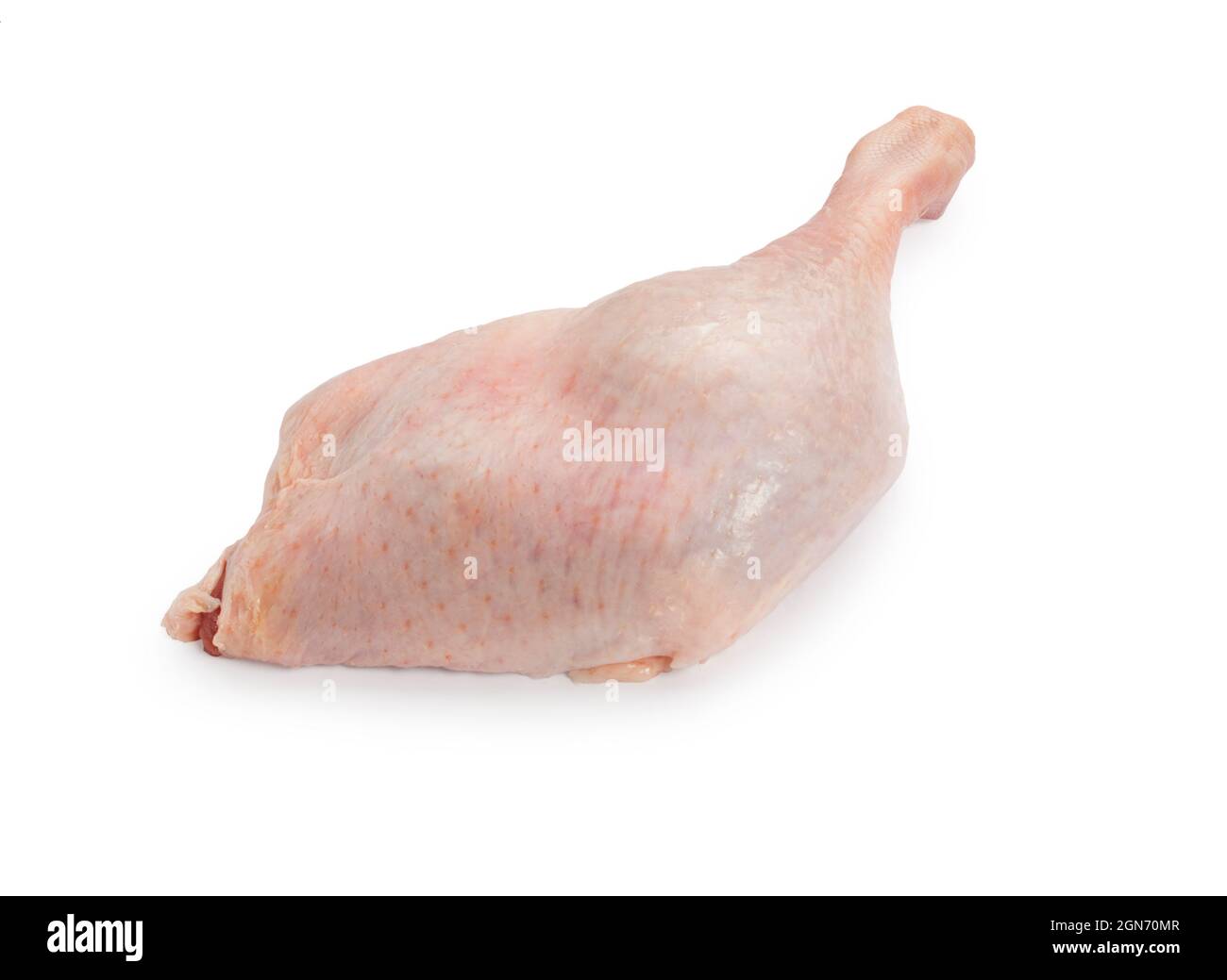 Studio shot of raw duck legs cut out against a white background - John ...