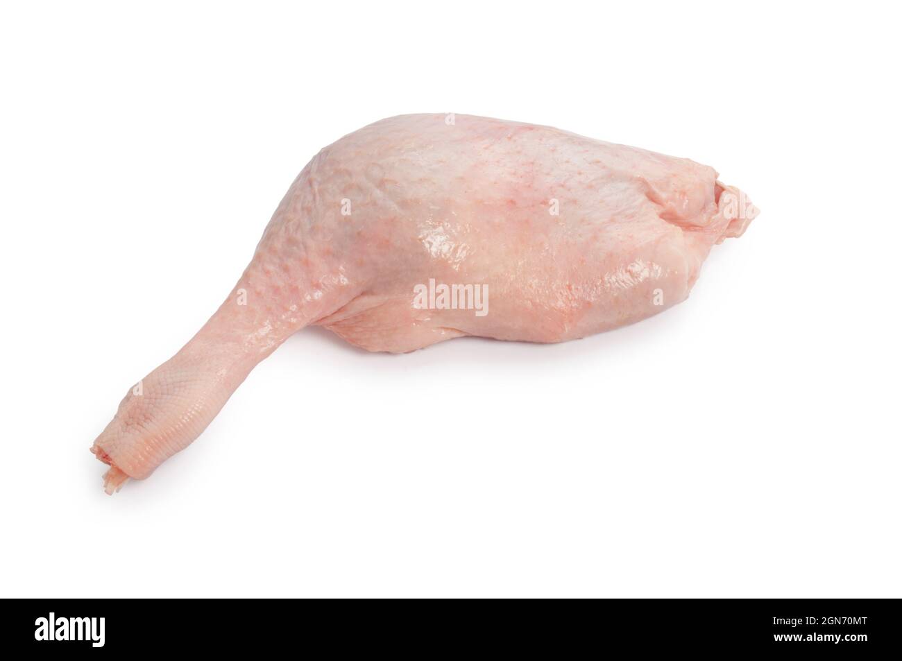 Studio shot of raw duck legs cut out against a white background - John ...