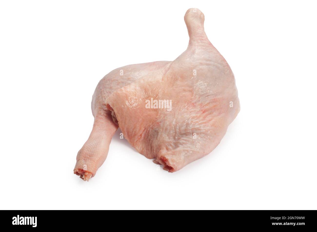 Studio shot of raw duck legs cut out against a white background - John ...